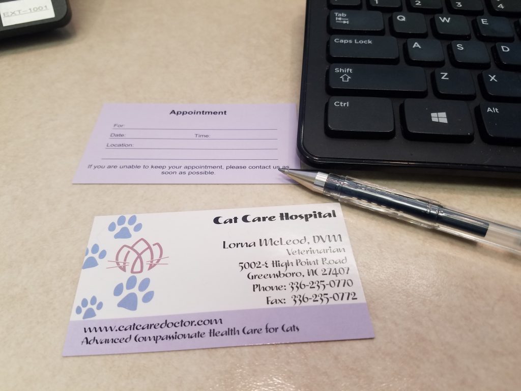 Get in touch with Cat Care Hospital